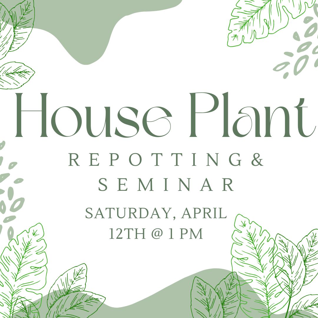 Jamie's Landscaping and Greenhouses